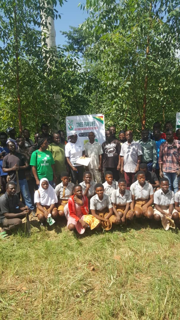 Juaso Forest District poised to plant 170,000 hectares of trees as it ...
